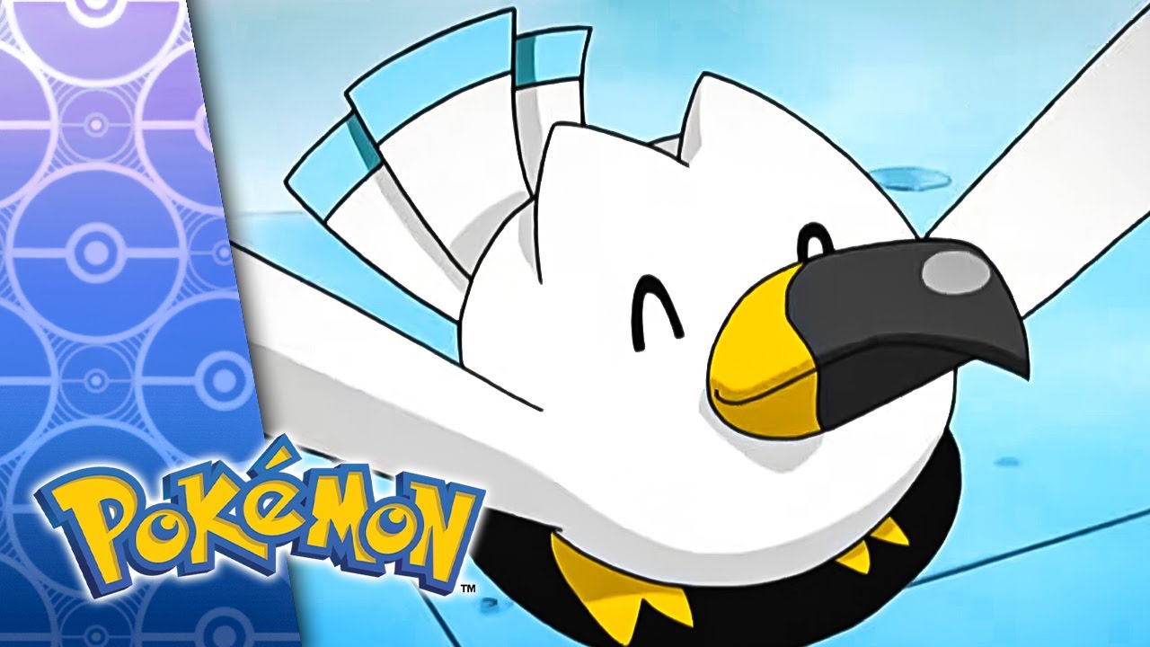 On a Wingull and a Prayer! | POKÉMON FULL EPISODE 18 | Season 6 - YouTube