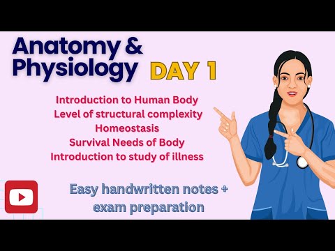 Introduction to Human Body | Structural Levels, Homeostasis & Survival ...