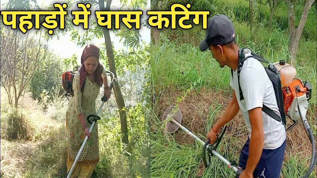 पहाड़ों में Brush Cutter से कैसे घास कटते हैं||आज हमने की घास कटिंग|how ...