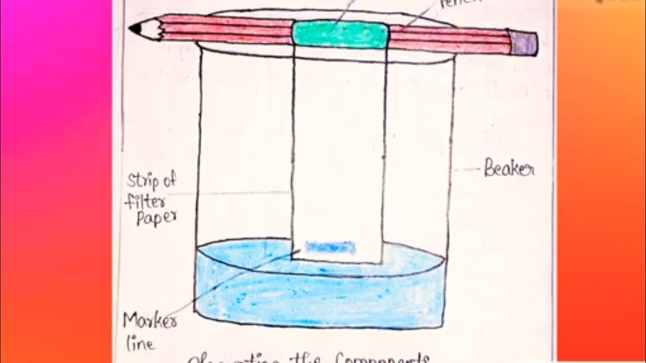 Physics 9th Class Project And Lab Activity @vyschandolu - YouTube