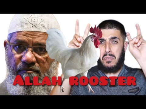 Ali Dawah & Zakir Naik vs CP . Allah Rooster . - YouTube