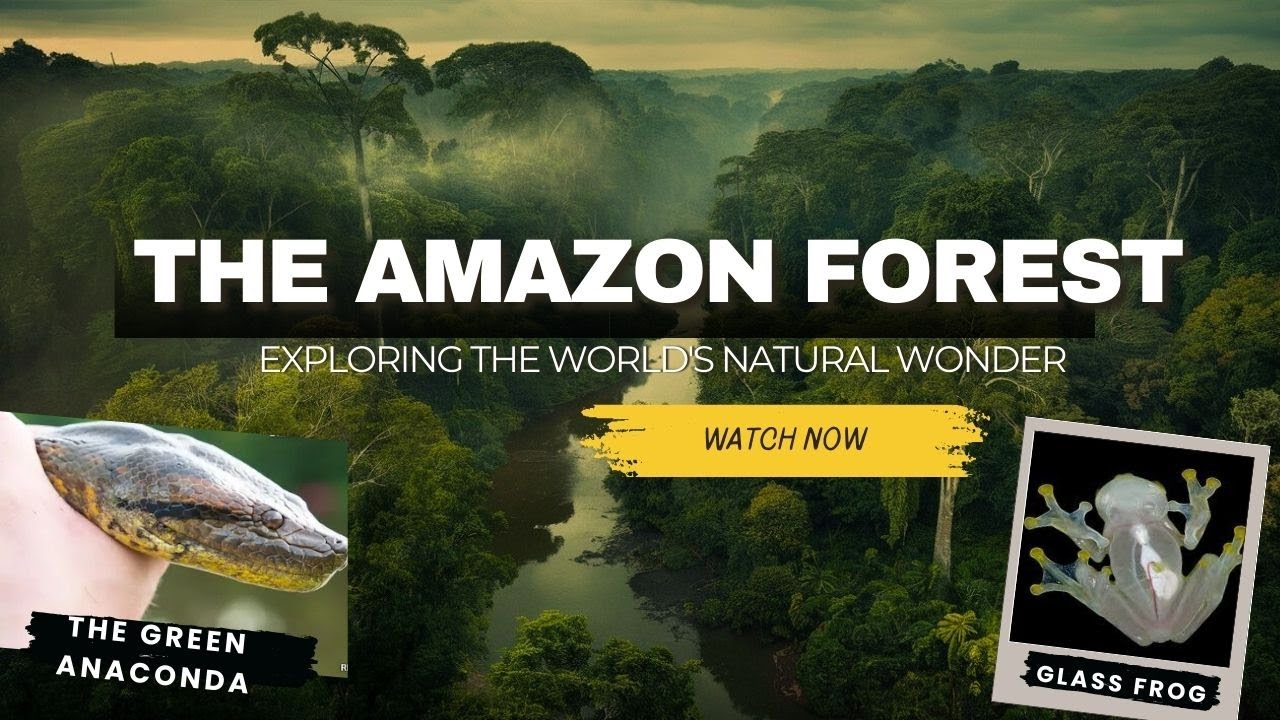Amazon Rainforest: Your Ultimate Guide to Exploring the World's Natural ...