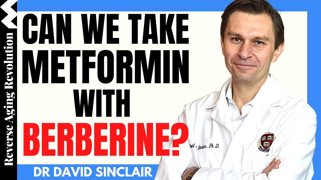 Can We Take BERBERINE With METFORMIN? | Dr David Sinclair Interview ...