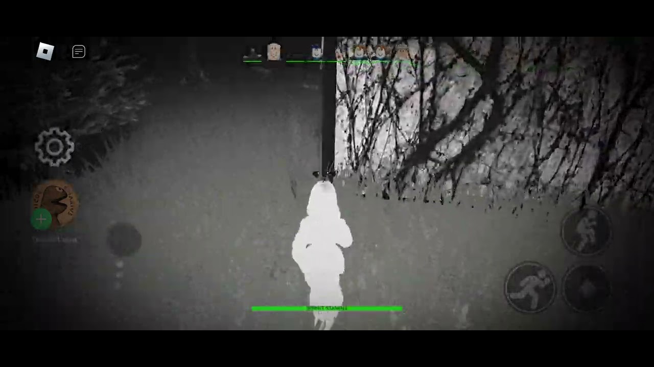 Roblox Frogge 🐸 Witch Woods [getting on the roof of the vine house ...