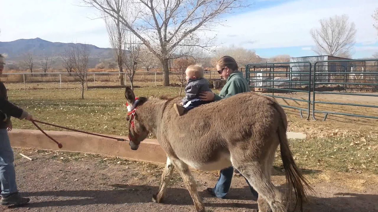Max Donkey Riding - YouTube