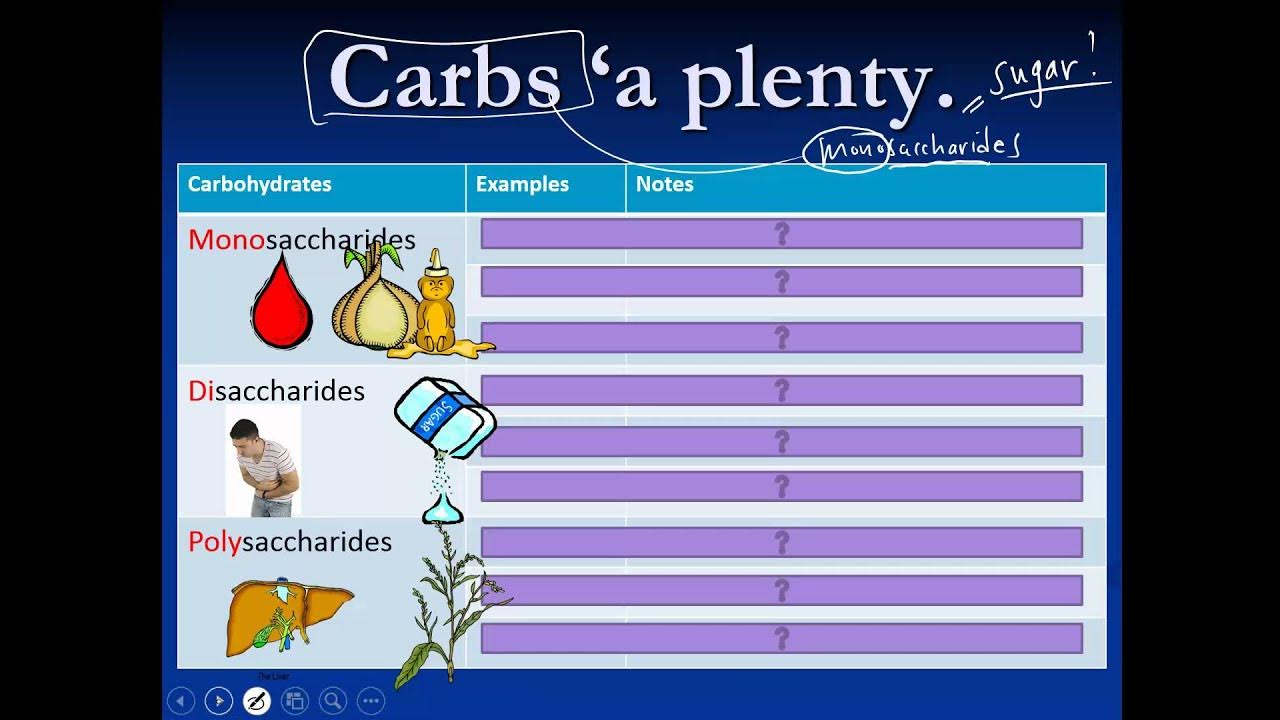 Carbohydrates, Lipids, Proteins (IB Biology) - YouTube
