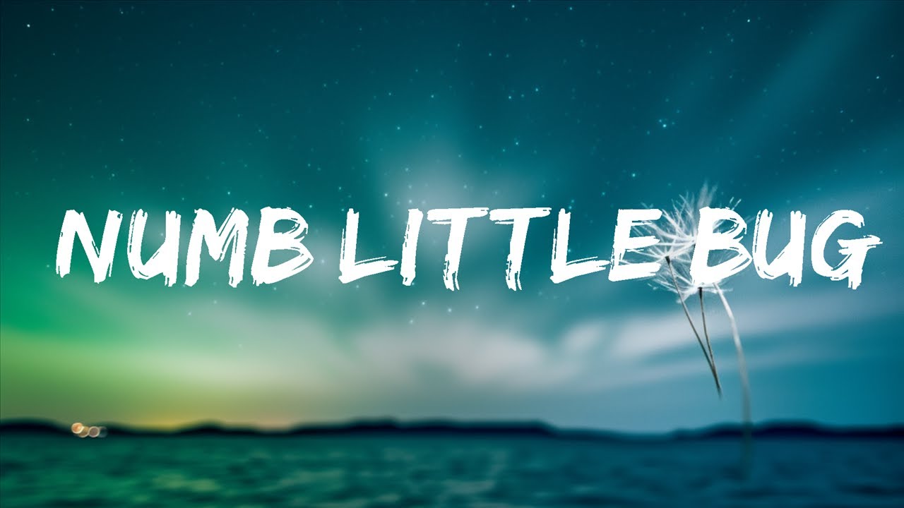 Em Beihold - Numb Little Bug (Lyrics) | Top Best Songs - YouTube