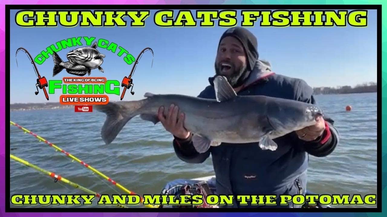 🔴 Chunky Cats Fishing Show: We are Live! Miles won’t get out of my ...