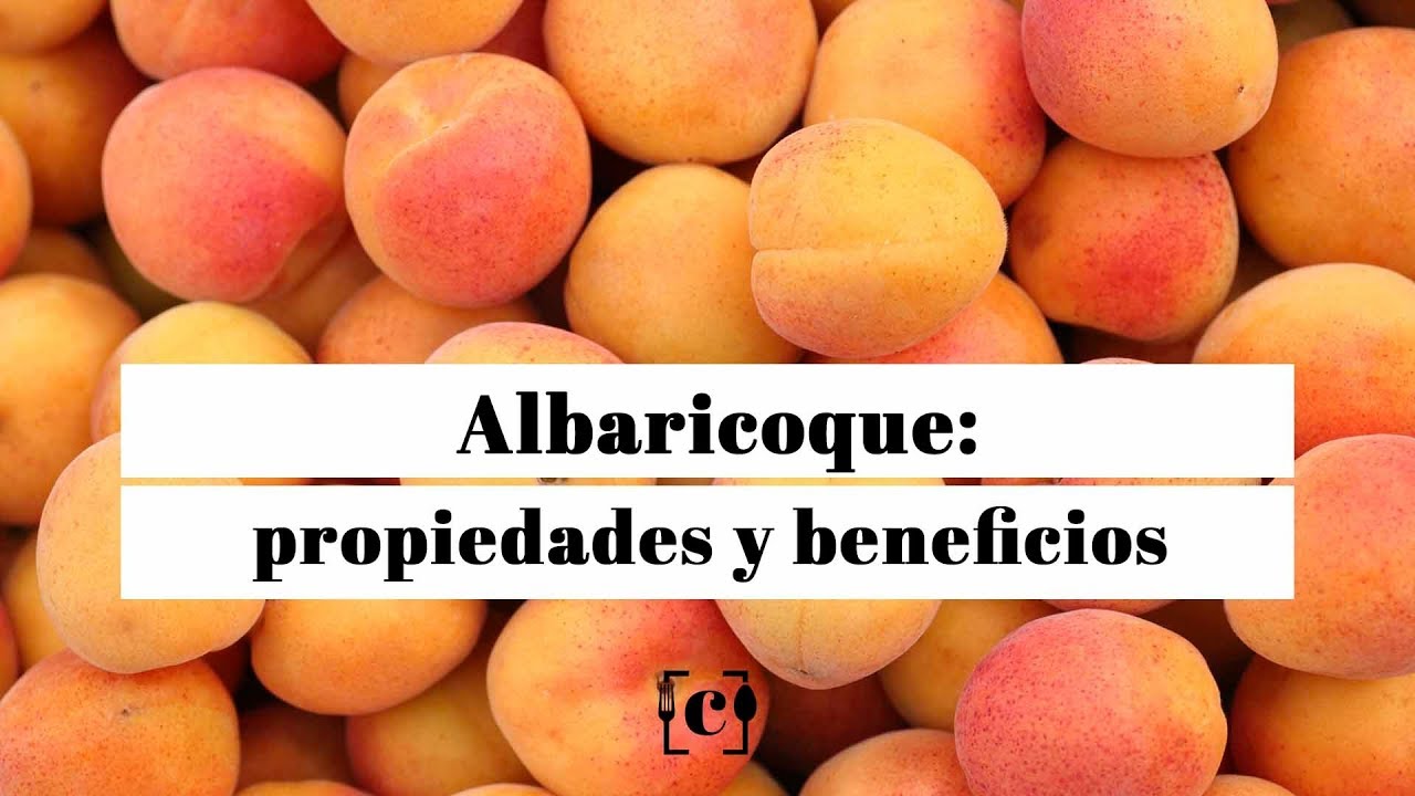 Albaricoque: todas las propiedades que debes saber - YouTube