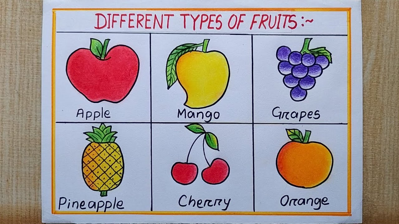 Different types of Fruits drawing easy| Fruit chart drawing| How to ...