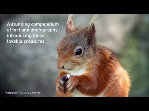 The Red Squirrel Book by Jane Russ - YouTube