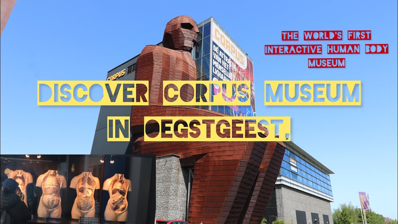 The Corpus Museum a human biology interactive museum - YouTube