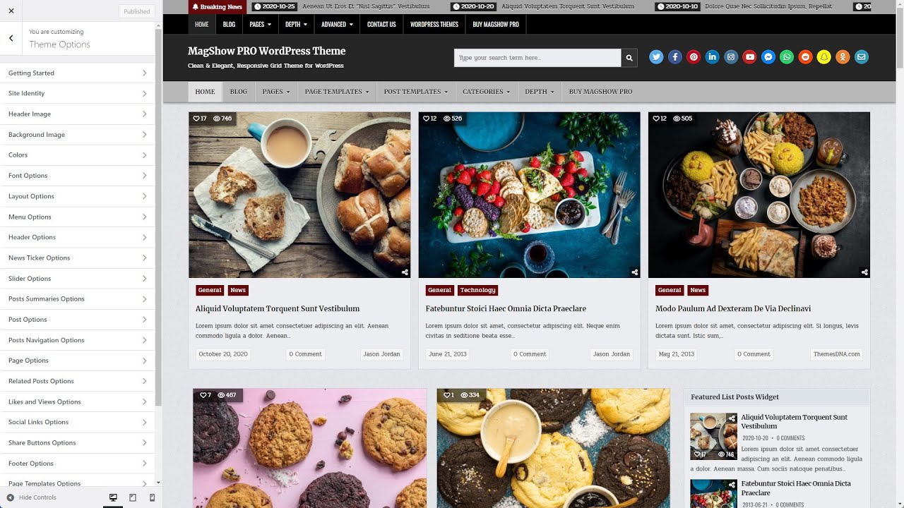 Customizer Theme Options - MagShow PRO WordPress Theme - YouTube