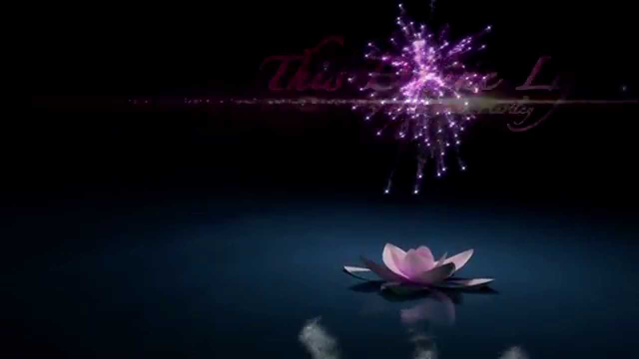 The Divine Life Animated Logo - YouTube