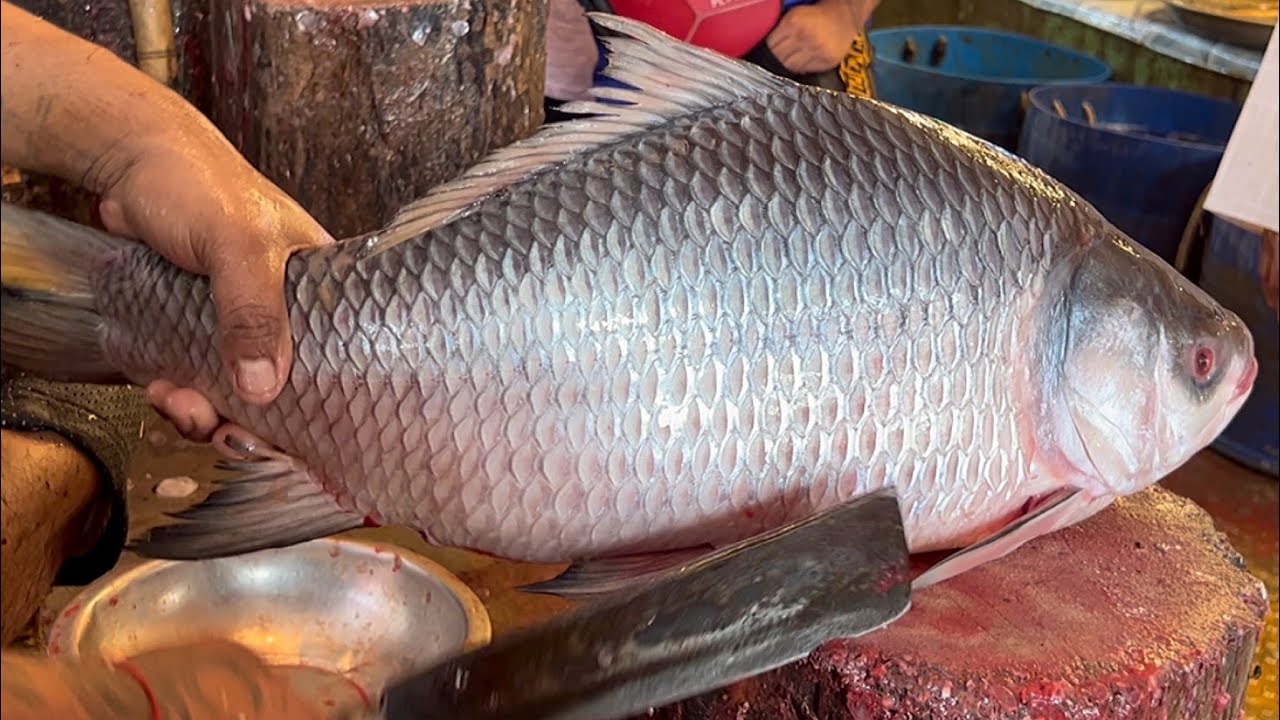 Popular Big Katla Fish Cleaning & Chopping By Expert Fish Cutter ...