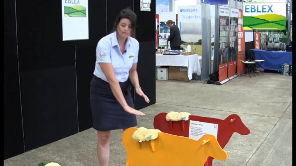 Body condition scoring & why it is important - YouTube