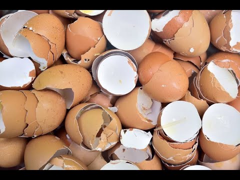 EGG SHELL DREAM INTRERPRETATION AND SOLUTION - YouTube