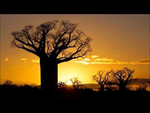 Madagascar - Marovany Music - YouTube