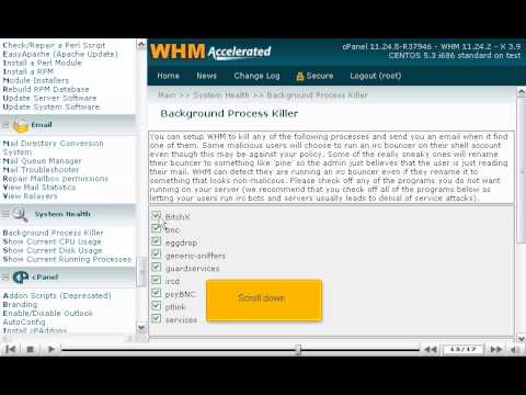 How to use the background process killer in WHM - WHM Management Tutorials - YouTube
