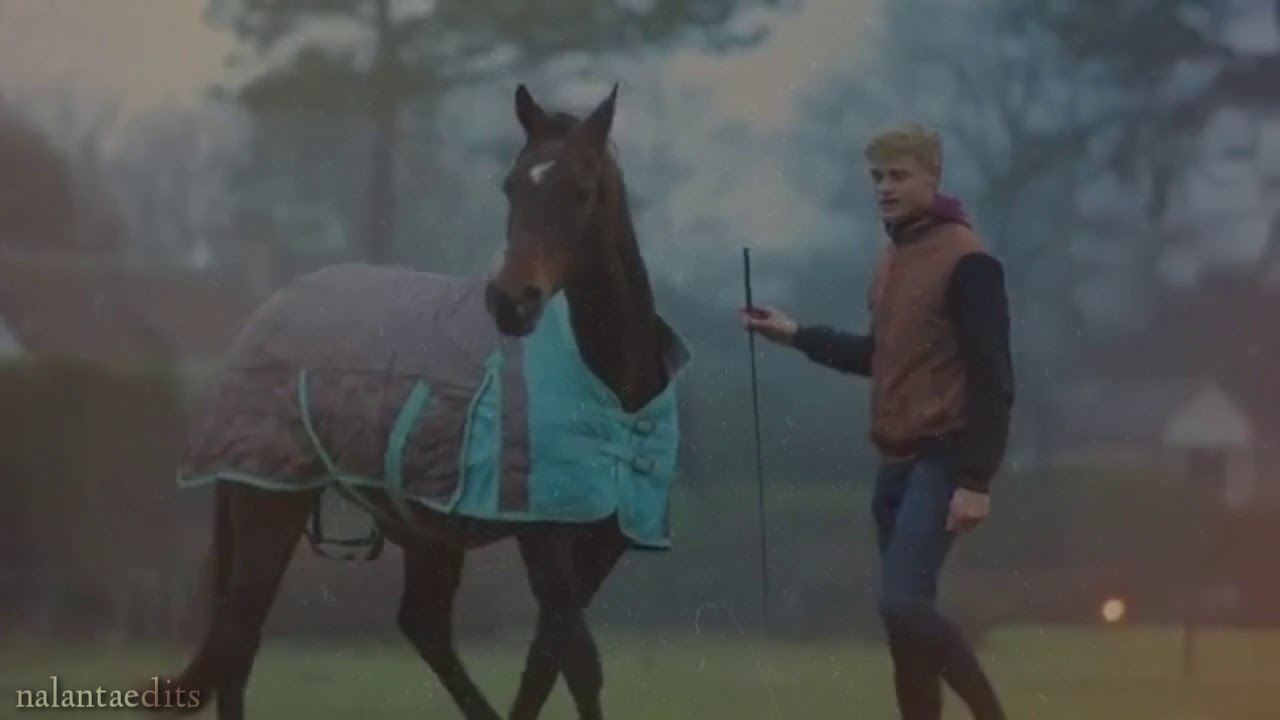 Jesse Drent - This is Your Way [Epic Equestrian Motivational Video ...