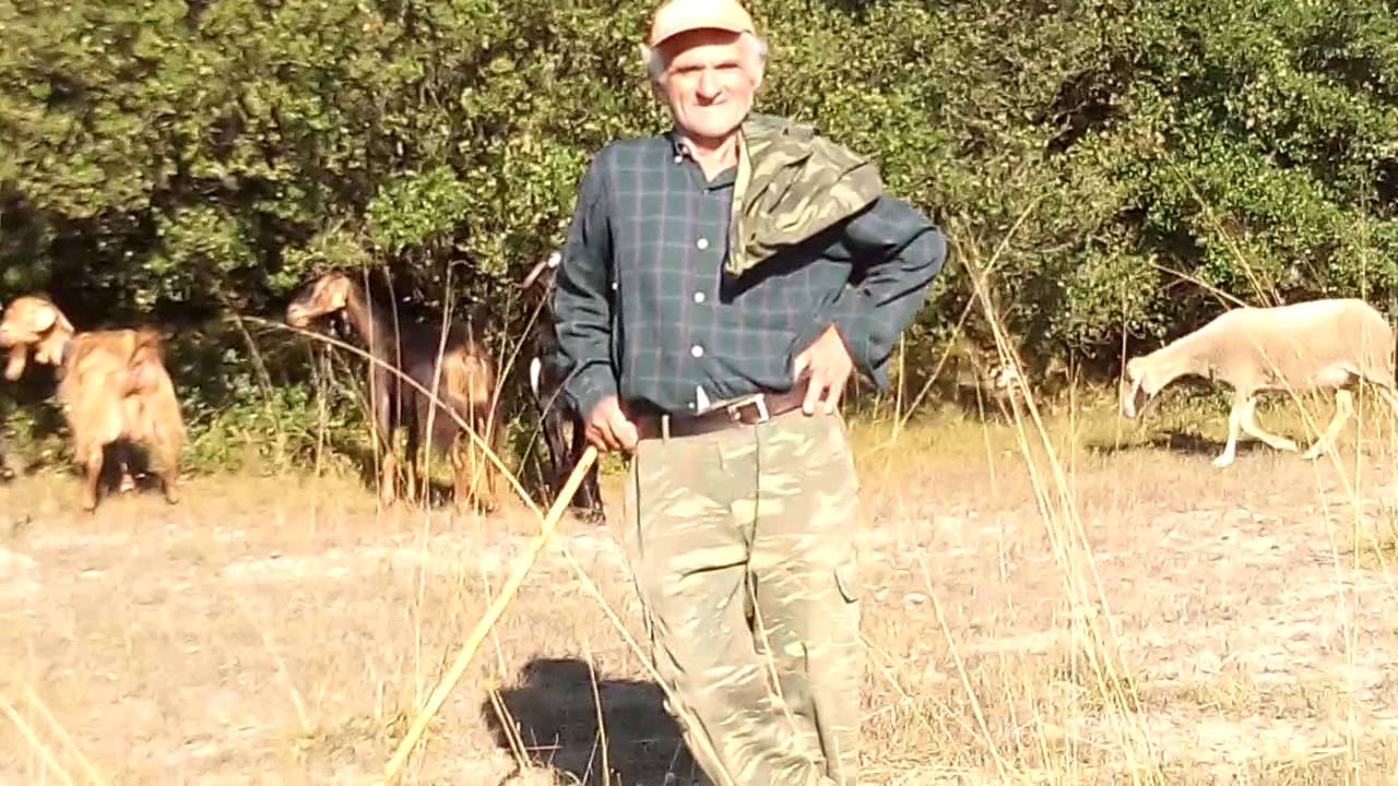 ΤΟ ΚΟΠΑΔΙ ΤΟΥ ΓΟΥΣΙA- ΓΙΩΡΓΟΥ ΔΡΟΣΟΥ VDO ΓΙΩΡ.ΠΕΡ.ΖΥΓΟΥΡΗ - YouTube