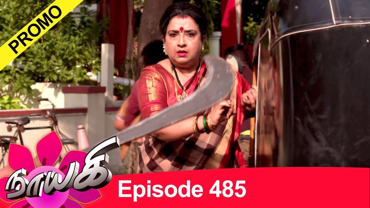 Naayagi Promo for Episode 485 - YouTube