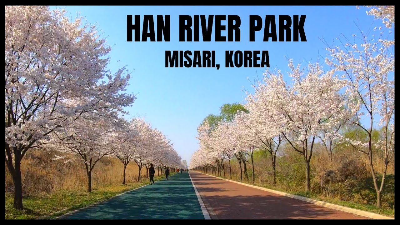 Treadmill Video, Virtual Running, Han River Park at Misari, South Korea ...