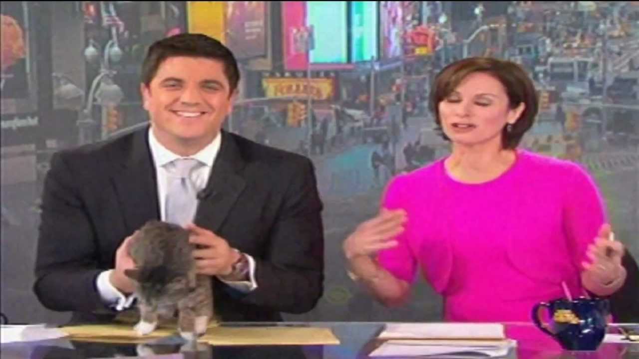 Lickety Stik on GMA - YouTube