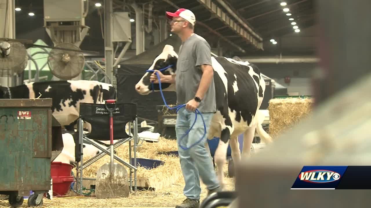 Farmers celebrate 22 years of 'Kentucky Proud' at Kentucky State Fair ...