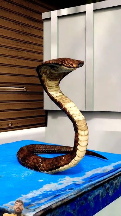 How To Survive Snake Attack?(3D animation). साँप के हमले से कैसे बचे?# ...