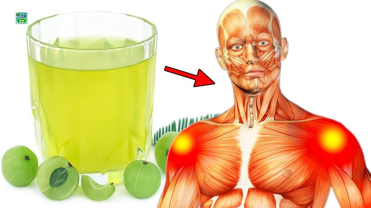 Why You Must Drink Amla Water Daily - YouTube