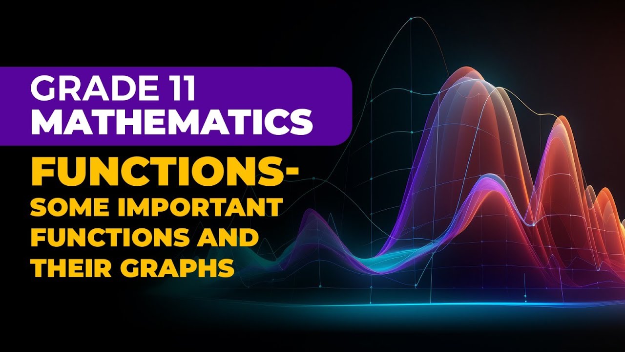 MATHEMATICS GRADE 11 CHAPTER 2 Relations and Functions Some Important Functions and their Graphs ...