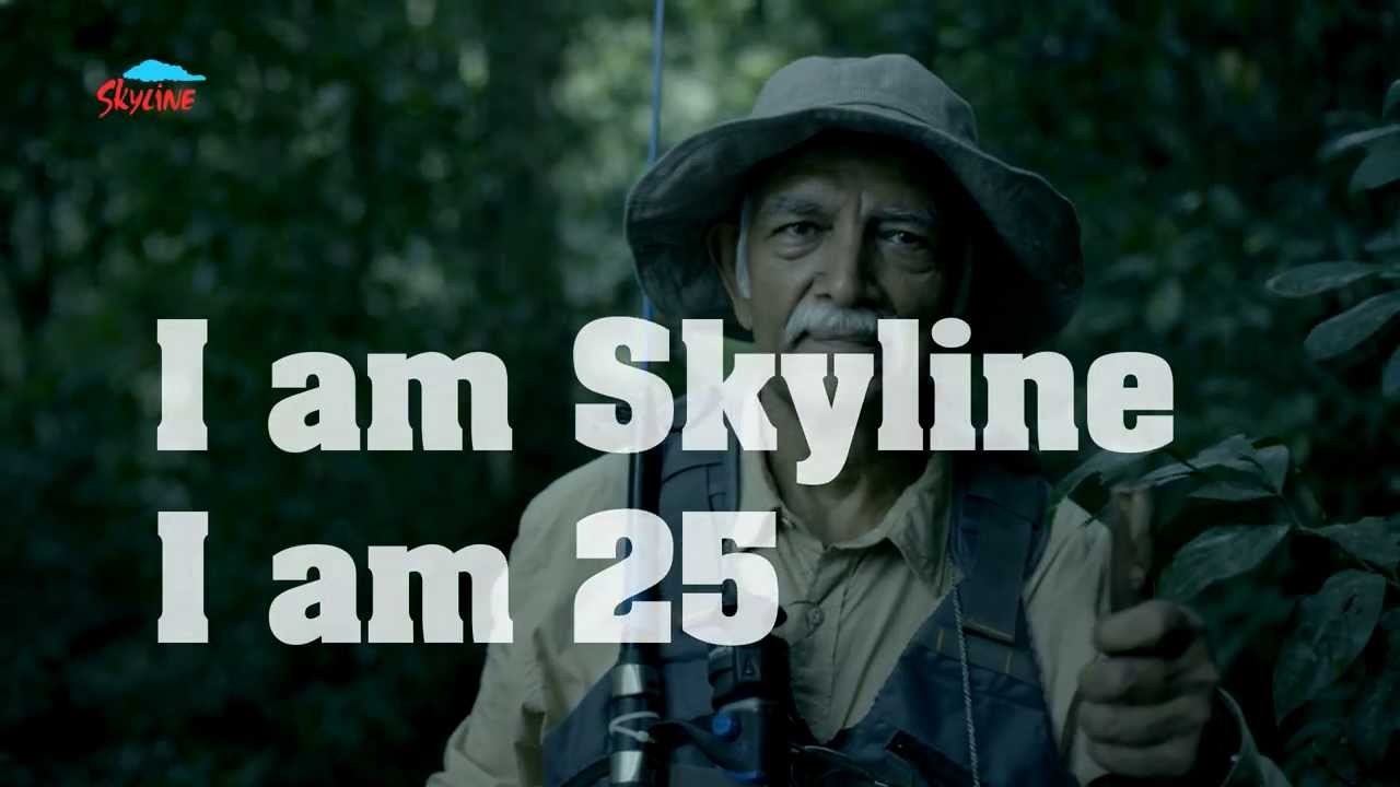 Skyline Builders Celebrating 25 years | Skyline Builders - Most Awarded ...