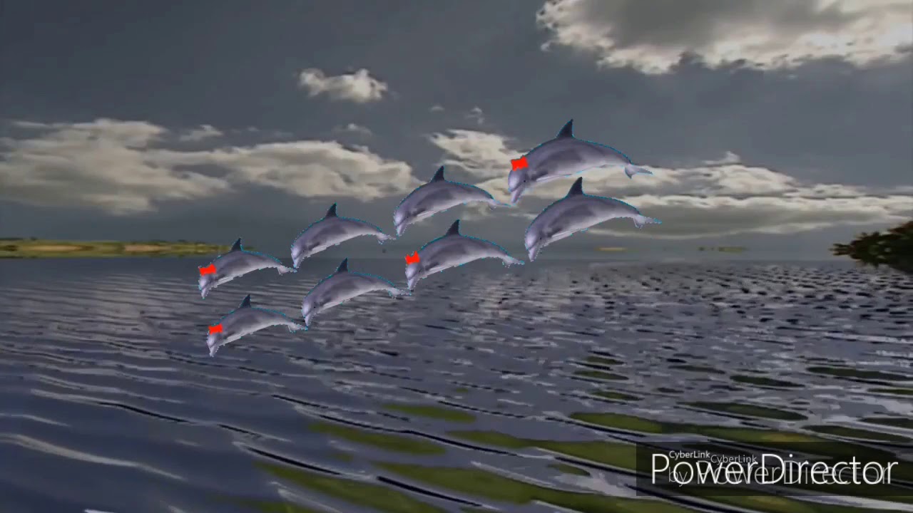 Teletubbies and Friends: Magical Event: Magic Dolphins - YouTube