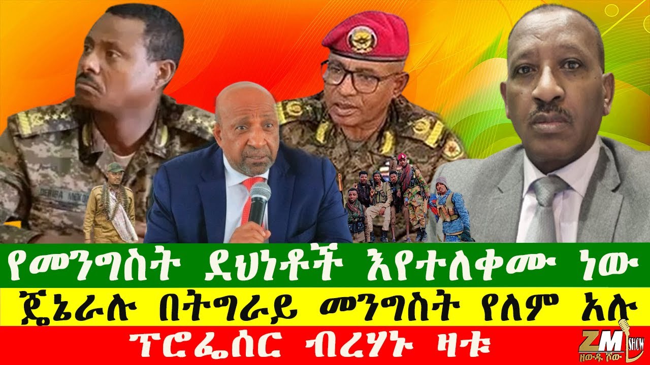 የመንግስት ደህነቶች እየተለቀሙ ነው፣ፕሮፌሰር ብረሃኑ ዛቱ፣ ጄኔራሉ በትግራይ መንግስት የለም አሉ፣Zewdu ...