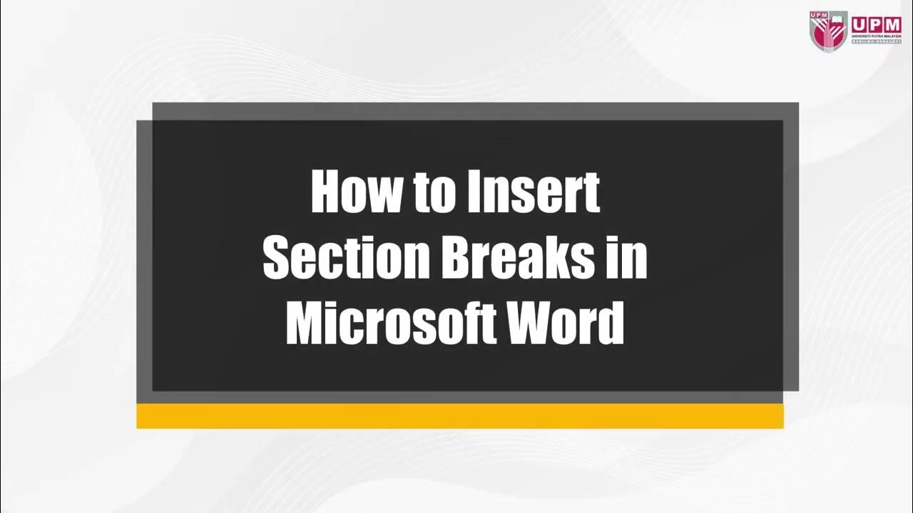 How to Insert Section Breaks in Microsoft Word - YouTube