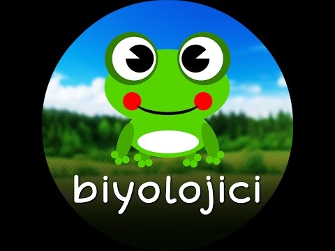 Duyu Organları-1