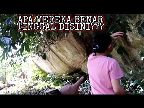 Kehidupan gadis Dayak di hutan kalimantan|| goa ini sebagai tempat istirahatnya ????