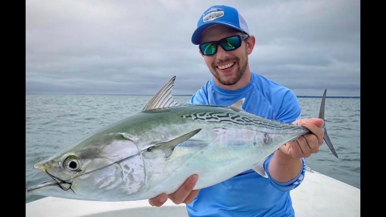 Our Top Albie Lures to catch more fish! - YouTube