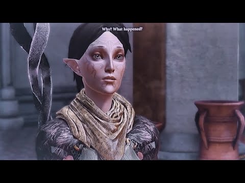 DRAGON AGE 2 : King Alistair and Merrill mentioned Dalish Warden ( Hero ...