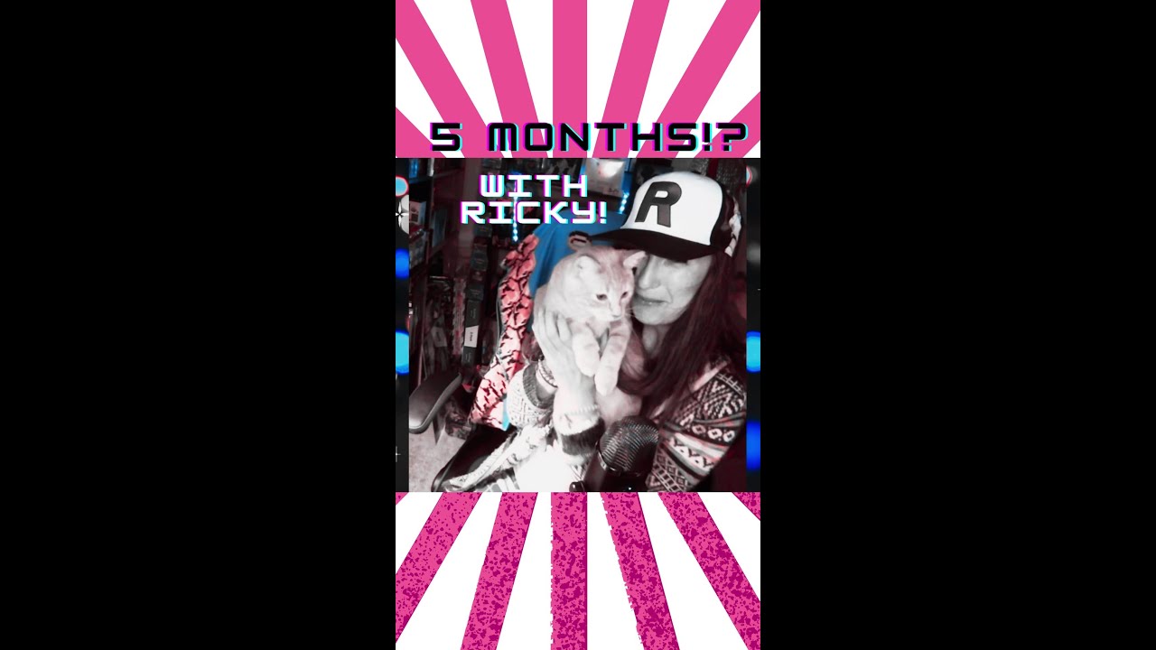 FIVE MONTHS!? With Ricky the Rescue Kitty! 😸💚 - YouTube