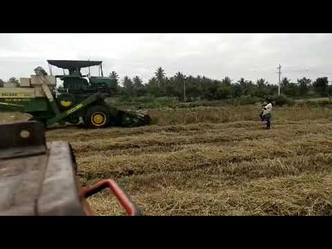 ragi cutting in machine - YouTube