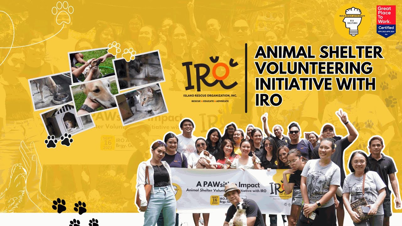 BSA CSR | Animal Shelter Volunteering Initiative with IRO - YouTube