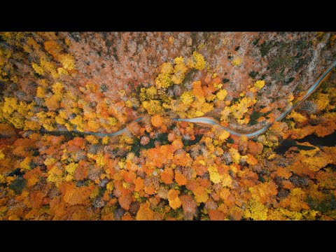 END OF SPRING - 4K CINEMATIC VIDEO