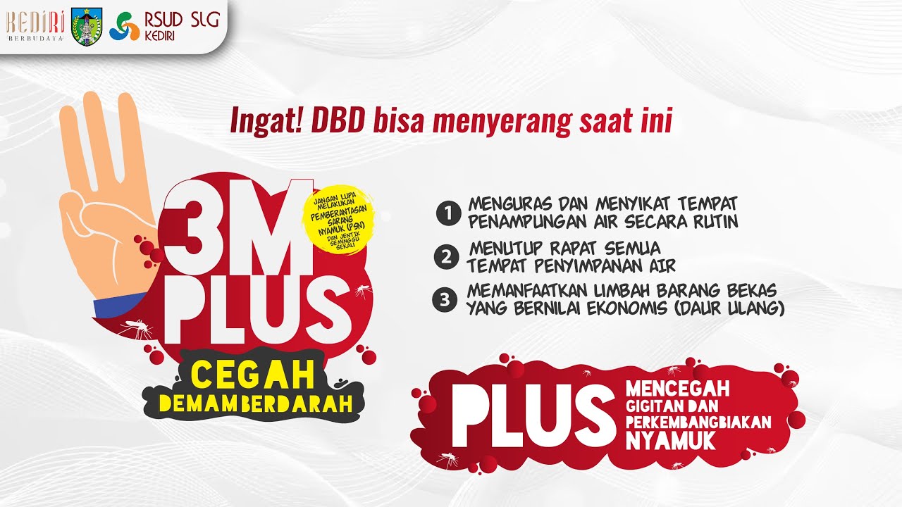 Cegah DBD dengan 3M Plus - YouTube