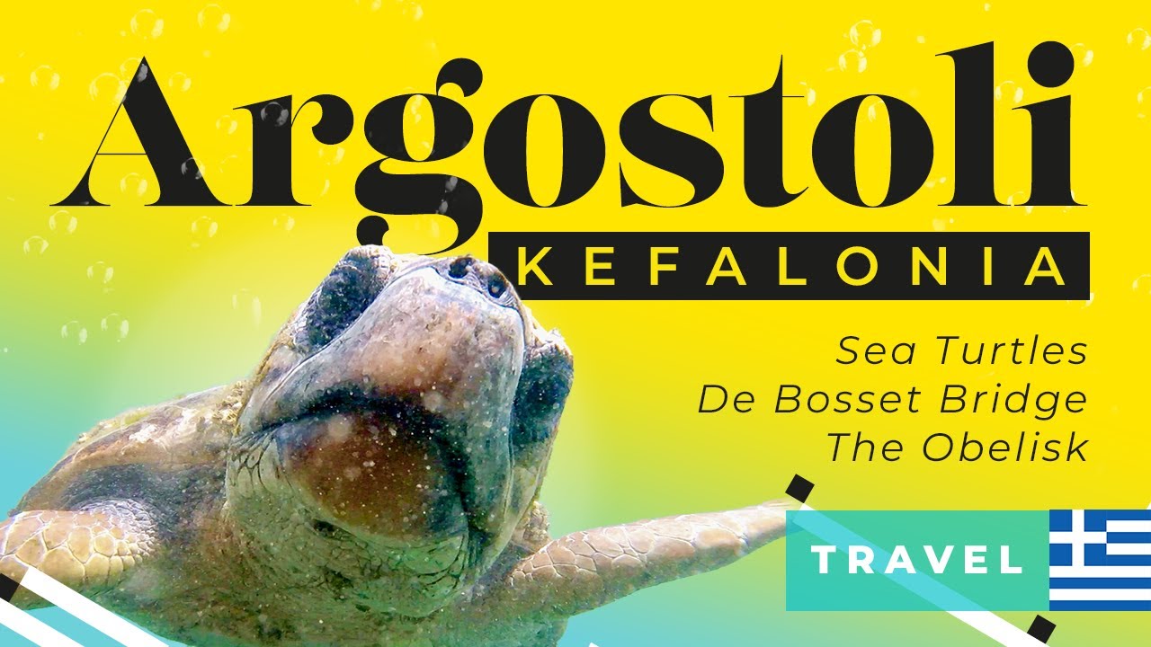 Sea Turtles in Argostoli, Kefalonia, Greece. Ever seen a turtle try and ...