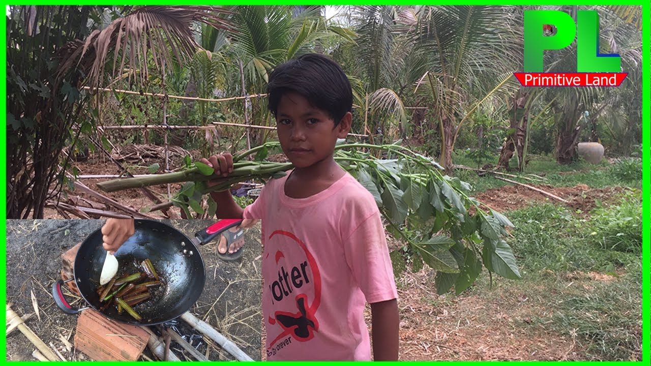 Fresh And Green Vegetable Cooking to eat Primitive Land Primitive ...