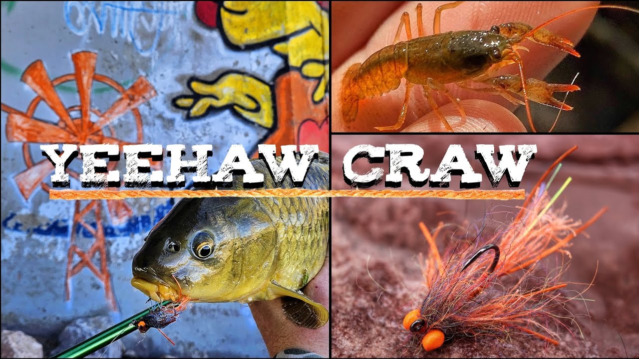 Yeehaw Craw- Carp & Bass Crawfish Nymph- Baling Twine Fly - YouTube
