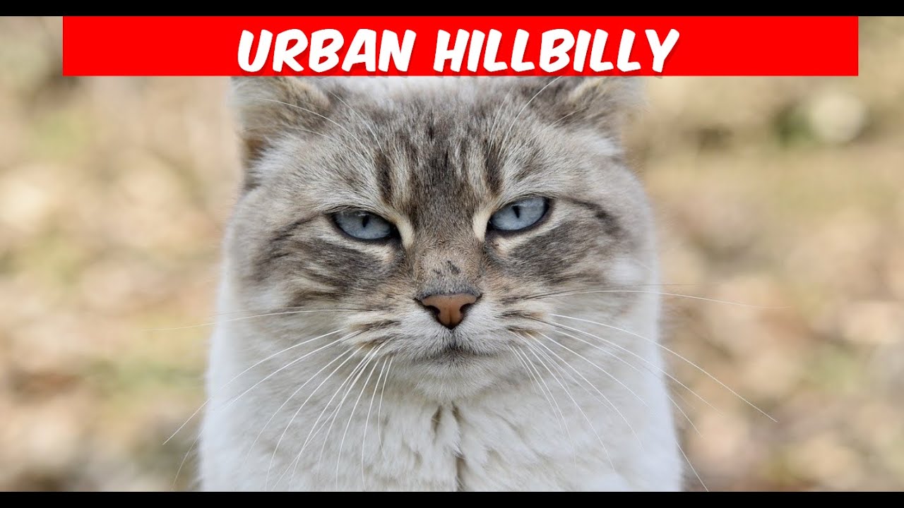 Urban Hillbilly - YouTube