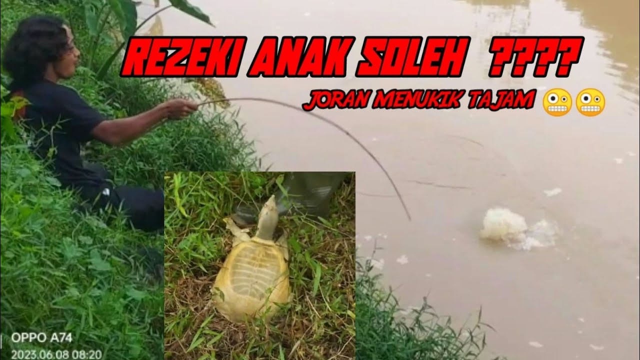 liat tajur setrik bertubi-tubi hasil nya memuaskan - YouTube